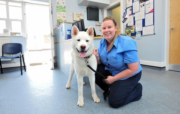 SEVERN VETERINARY CENTRE - Updated September 2025 - 59 Photos ...