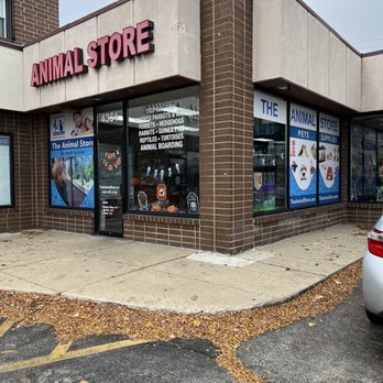 THE ANIMAL STORE - Updated October 2025 - 92 Photos & 133 Reviews ...