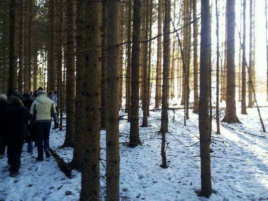 GLACIER HILLS PARK - Updated December 2025 - 13 Photos - 1664 Friess ...