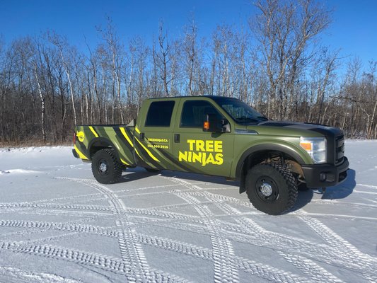 TREE NINJAS - Updated November 2025 - 13 Photos - Grande Pointe ...