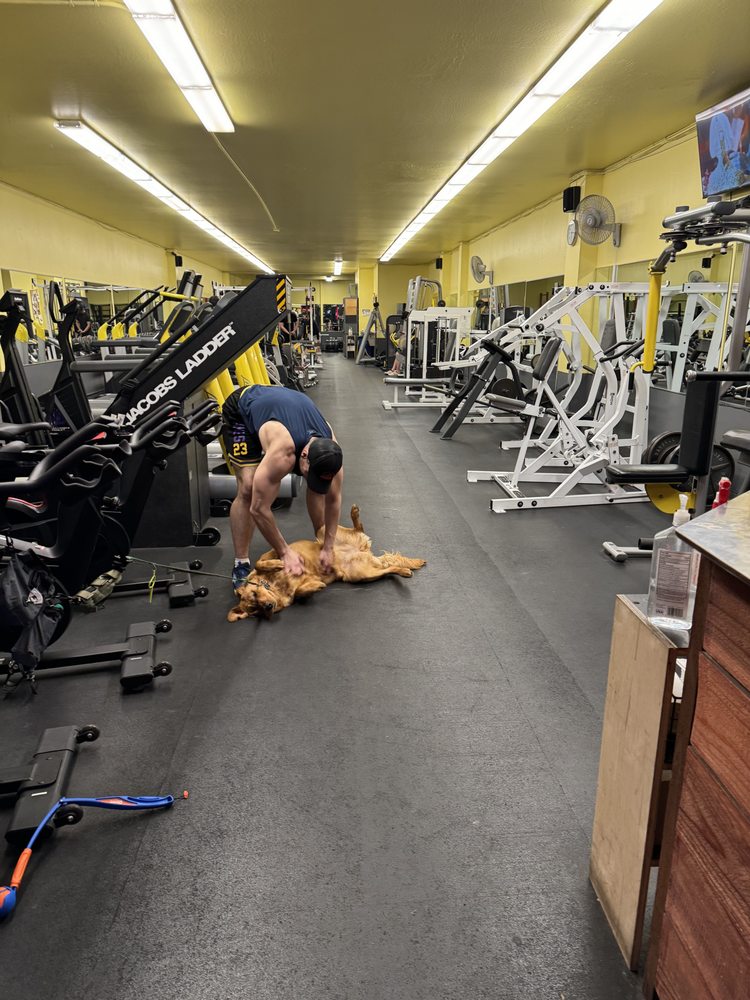 MERITAS HEALTH & PERFORMANCE - 1247 9th Ave, San Francisco, California ...