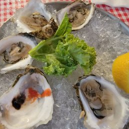 MOBY DICK’S - 356 Photos & 541 Reviews - 3225 Rt 6, Wellfleet ...