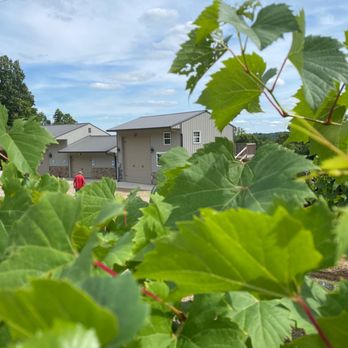 FRENCH RIDGE VINEYARDS & WINERY - Updated August 2025 - 36 Photos & 24 ...