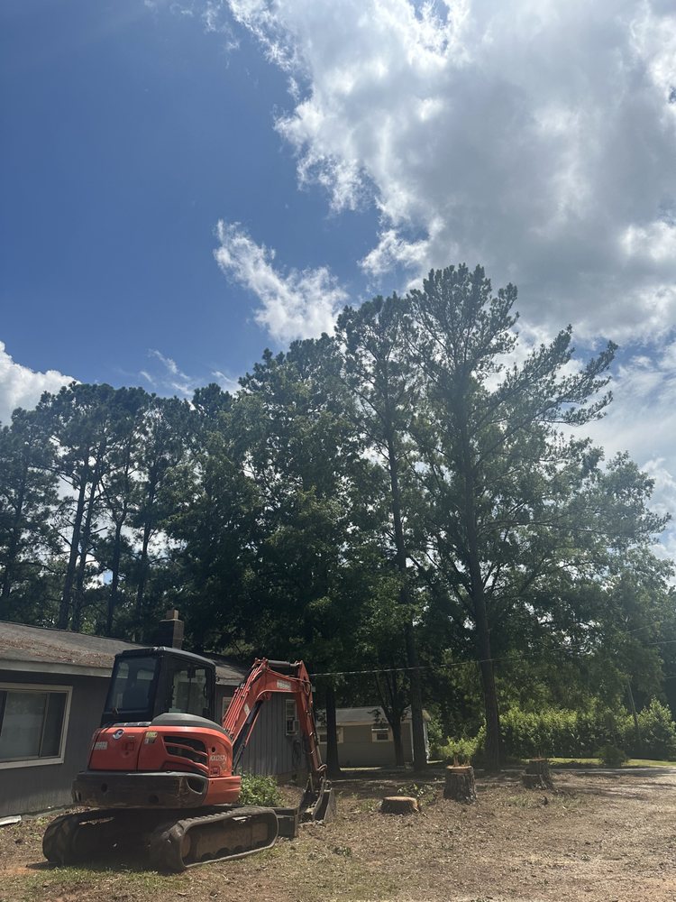 CAROLINA TREE & CONSTRUCTION - Updated June 2025 - Request a Quote ...