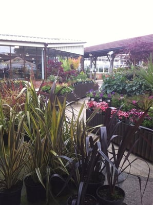 AYLETT NURSERIES - Updated April 2025 - North Orbital Road, St Albans ...