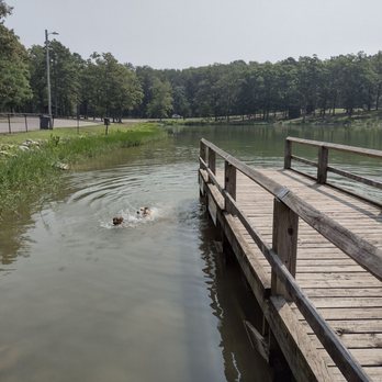 CRAIGHEAD FOREST PARK - Updated December 2025 - 39 Photos & 16 Reviews ...