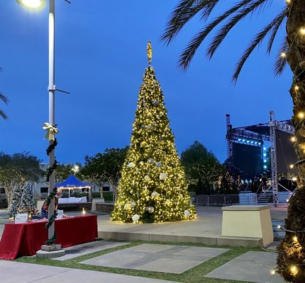 MARINERS CHURCH - Updated December 2024 - 182 Photos & 172 Reviews ...