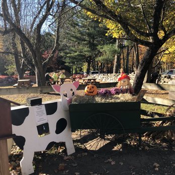 MUSCOOT FARM - Updated December 2025 - 186 Photos & 47 Reviews - 51 Rt ...