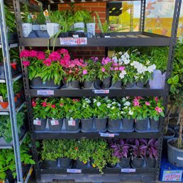 CERMAK PRODUCE FRESH MARKET - Updated December 2025 - 129 Photos & 157 ...