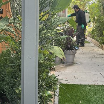 HOMESHIELD PEST CONTROL - Updated December 2025 - 233 Photos & 1245 ...