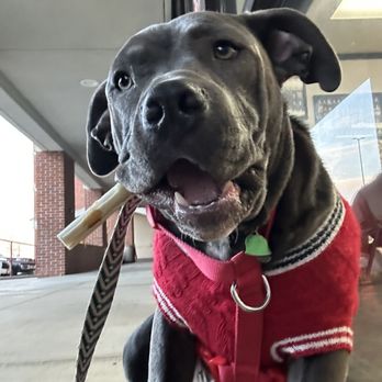 TEXAS COALITION FOR ANIMAL PROTECTION - HURST - Updated October 2025 ...