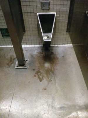 EXETER FINANCE - Updated December 2025 - 67 Reviews - 2250 W John ...