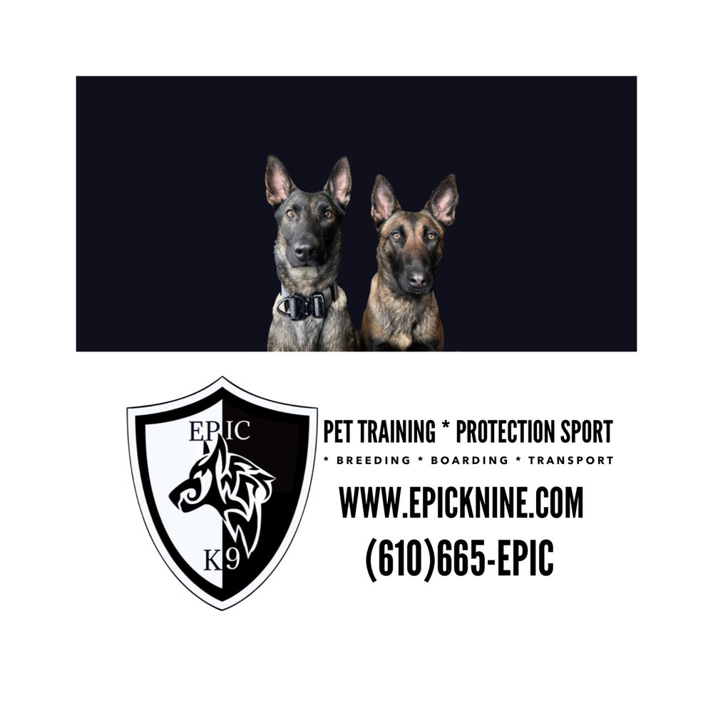 EPIC K9 - Updated July 2025 - 3888 Barnes Mill Rd, Hamilton, Georgia - Pet Training - Phone ...