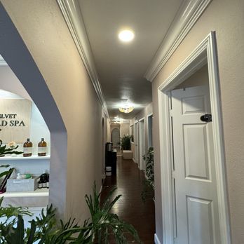 VELVET HEAD SPA - Updated May 2024 - 118 Photos & 191 Reviews - 2220 S ...