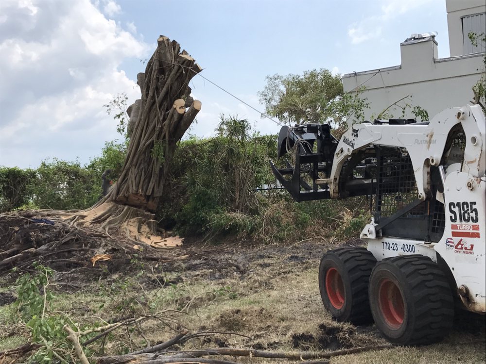 OAKWOOD TREE SERVICE - Updated December 2024 - 10 Photos - Bonita ...