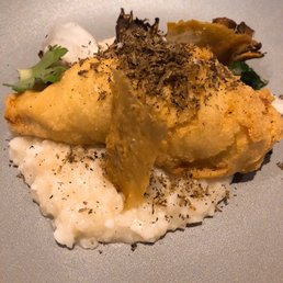 ARLO GREY BY KRISTEN KISH - Updated July 2025 - 1390 Photos & 488 ...