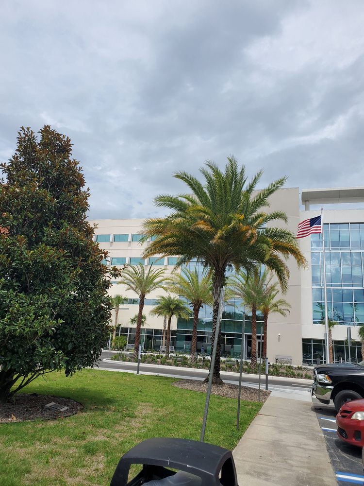 ADVENTHEALTH FISH MEMORIAL - 17 Photos & 43 Reviews - 1055 Saxon Blvd ...