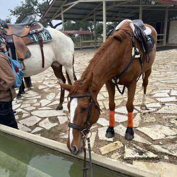 GAREY PARK - Updated November 2024 - 60 Photos & 39 Reviews - 6450 RM ...