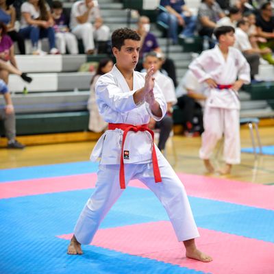 SHOWAKAI KARATE DO USA - Updated July 2025 - 42 Photos - 13716 SW 88th ...