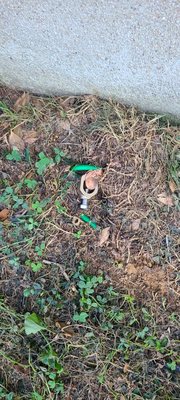 Tom Drexler - Updated January 2026 - 63 Photos - 225 Reviews - 3718 ...