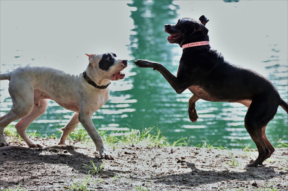 PERRINE WAYSIDE PARK - Updated September 2024 - 105 Photos & 42 Reviews ...