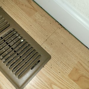 PROPVIVO - Updated June 2025 - 34 Photos & 65 Reviews - 2018 156th Ave ...