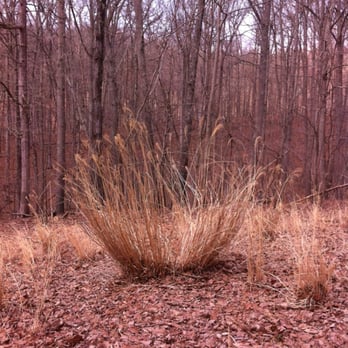 OREGON RIDGE NATURE CENTER - Updated October 2025 - 121 Photos & 50 ...