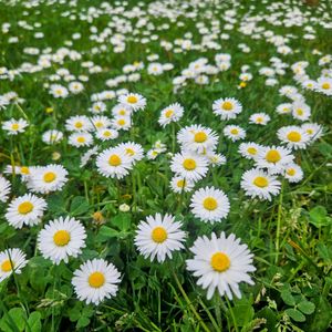 DAVIS MUNICIPAL GOLF COURSE - Updated December 2025 - 22 Photos & 43 ...