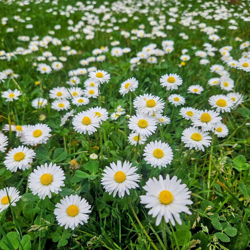 WILLIAM LAND GOLF COURSE - Updated January 2026 - 63 Photos & 51 ...