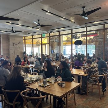 SALT AND OLIVE MEDITERRANEAN FOOD - Updated March 2025 - 465 Photos ...