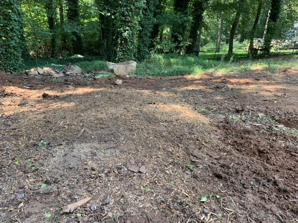 LEON STUMP GRINDING - Updated January 2025 - Marietta, Georgia - Tree ...
