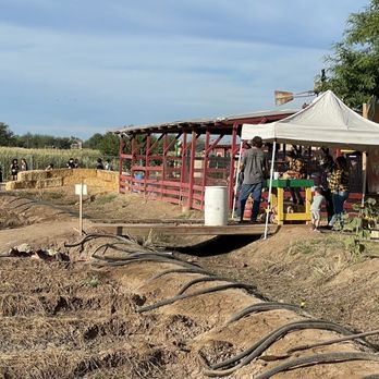 TOLMACHOFF FARMS - Updated November 2024 - 217 Photos & 158 Reviews ...