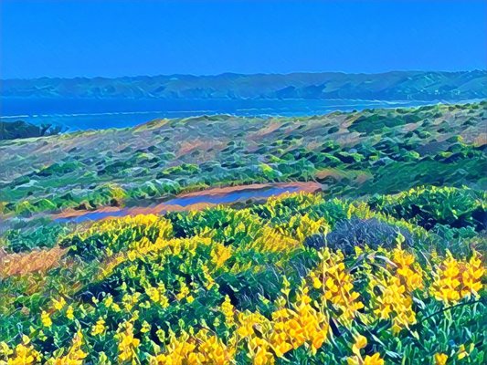 TOMALES POINT TRAIL - TULE ELK PRESERVE - Updated December 2025 - 948 ...