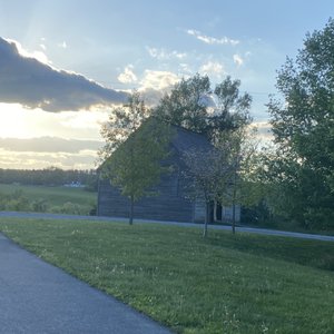 HOWARD COUNTY CONSERVANCY - 23 Photos - Summer Camps - 10520 Old ...