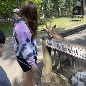 WISCONSIN DEER PARK - Updated August 2024 - 237 Photos & 124 Reviews ...