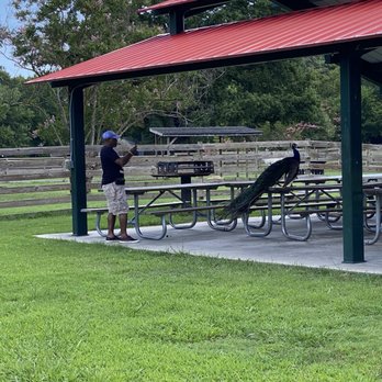 BLUEBIRD GAP FARM - Updated December 2025 - 222 Photos & 65 Reviews ...