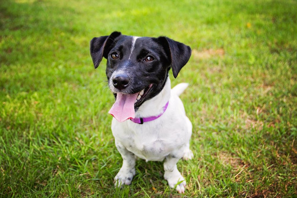 RACHEL RICE PHOTOGRAPHY - Updated December 2024 - Stockbridge, Michigan ...