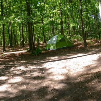 GREEN RIDGE STATE FOREST - Updated August 2025 - 113 Photos & 21 ...