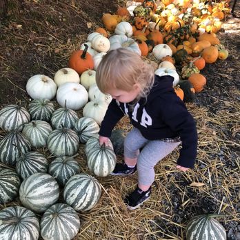 Butler’s Orchard - 514 Photos & 307 Reviews - Farmers Market - 22222 ...