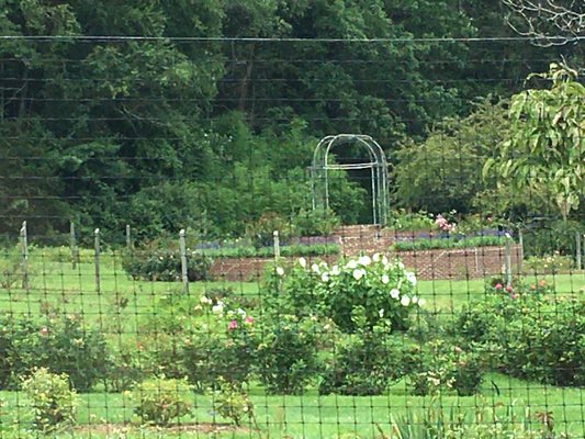 PARDEE ROSE GARDEN - Updated July 2025 - 29 Photos - 180 Park Rd ...