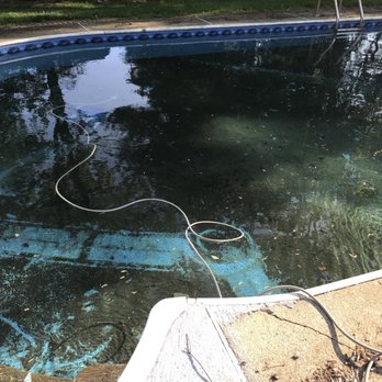 EVERCLEAR POOLS & SPAS - Updated August 2025 - 170 Photos & 19 Reviews ...