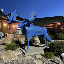 THE BLUE MOOSE BAR & GRILL - Updated August 2025 - 247 Photos & 295 ...