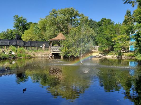 FRIENDS OF THE TOPEKA ZOO - 64 Photos & 26 Reviews - 635 SW Gage Blvd ...