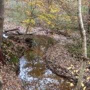 LAKE JOHNSON PARK - 228 Photos & 123 Reviews - Parks - 4601 Avent Ferry ...