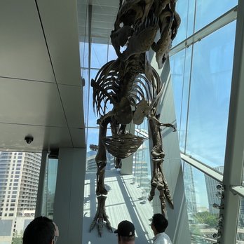 PEROT MUSEUM OF NATURE AND SCIENCE - 2214 Photos & 720 Reviews - 2201 N ...
