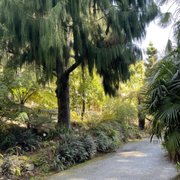 UC BOTANICAL GARDEN AT BERKELEY - 1456 Photos & 324 Reviews - 200 ...
