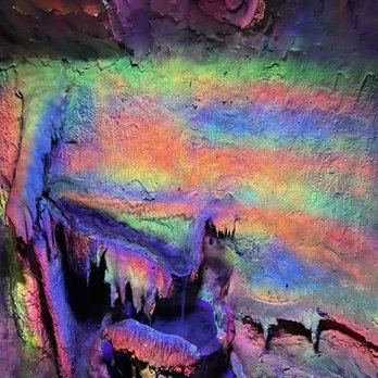 ENCHANTED FOREST - Updated May 2025 - 487 Photos & 267 Reviews - 8462 ...