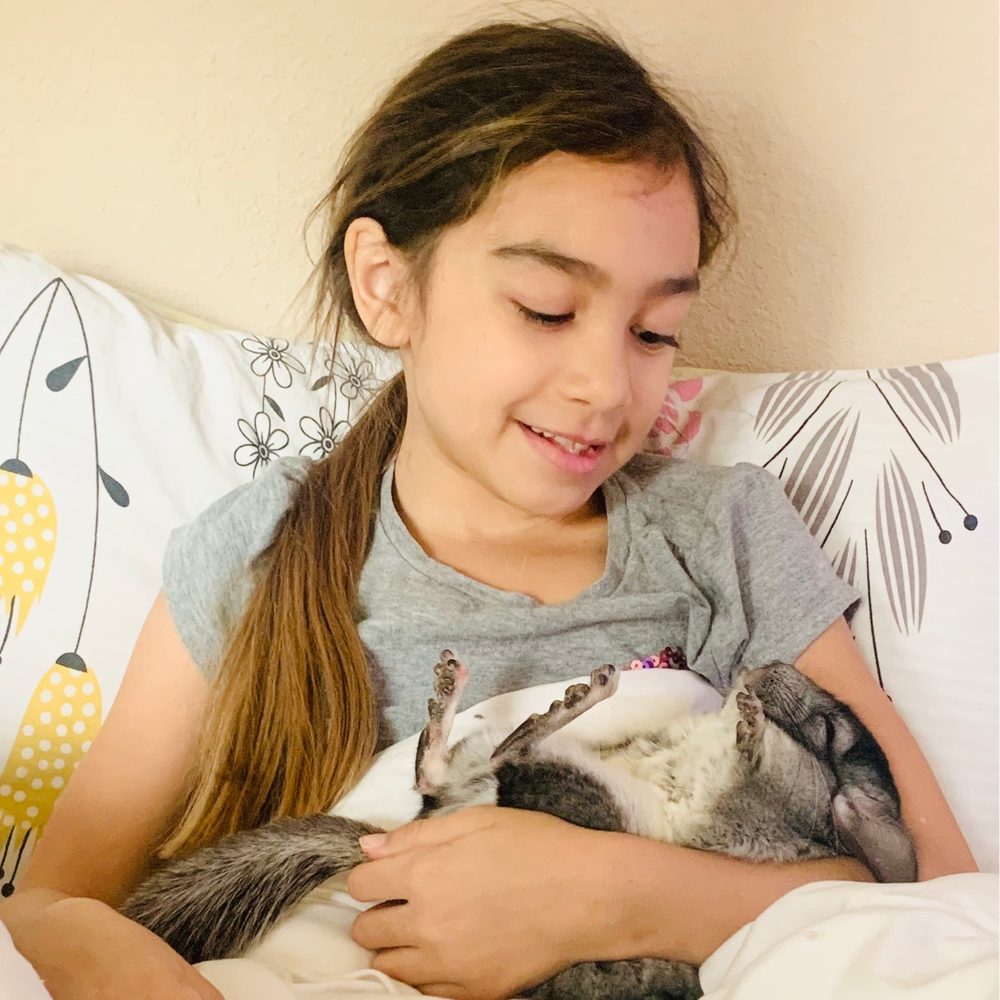 Katrina Noble's Instagram, Twitter & Facebook on IDCrawl