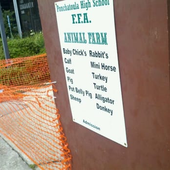 PONCHATOULA STRAWBERRY FESTIVAL - Updated December 2025 - 91 Photos ...