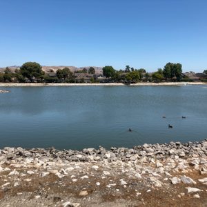 HIDDEN LAKE PARK - 169 Photos & 64 Reviews - N Milpitas Blvd & Escuela ...
